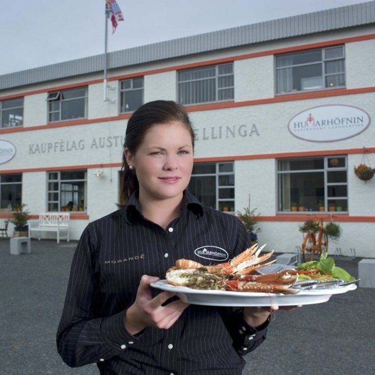 Humar | Visit South Iceland