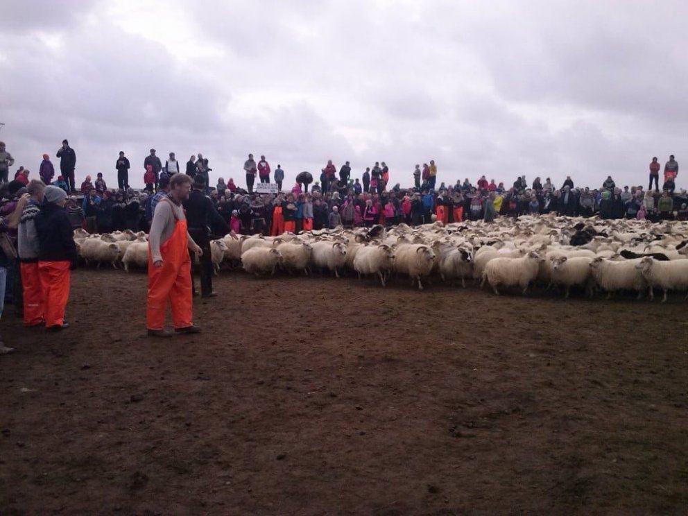 Visit Árborg and Flóahreppur | Visit South Iceland