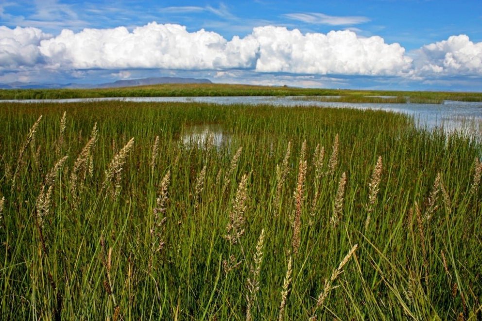 Visit Árborg and Flóahreppur | Visit South Iceland